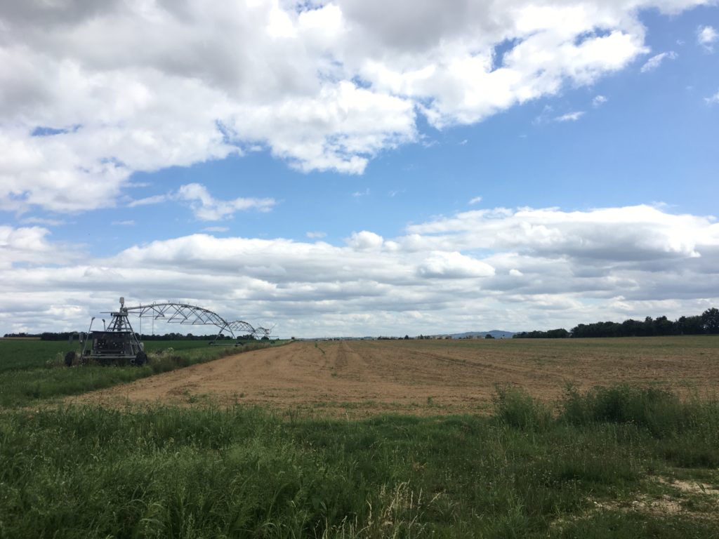 Des activités RSE autour de Lyon pour votre entreprise